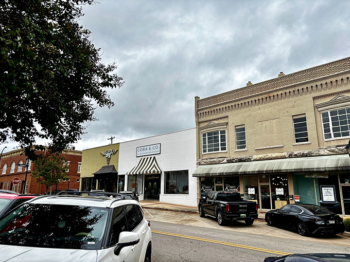 Stylish boutiques and renovated storefronts give Decatur's downtown a fresh face while maintaining the character that makes this affordable river city special.