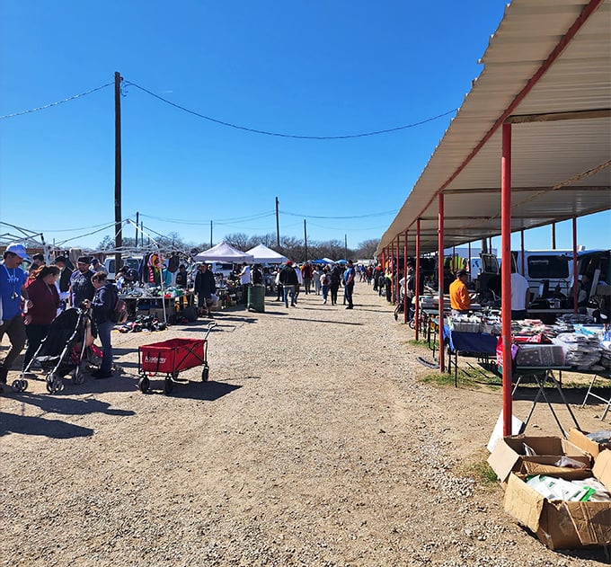 Colorful chaos of commerce! This vibrant stall at Grand Prairie's market offers everything from sports jerseys to stuffed animals at jaw-dropping prices.
