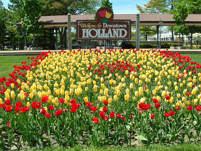 Holland's tulip welcome mat blooms with thousands of flowers that prove Michigan does Dutch pride better than anywhere outside Europe.