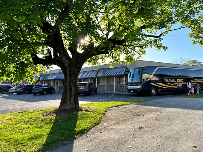 That big tree and tour bus tell the story&mdash;locals and visitors alike have discovered Quarryville's best-kept delicious secret.