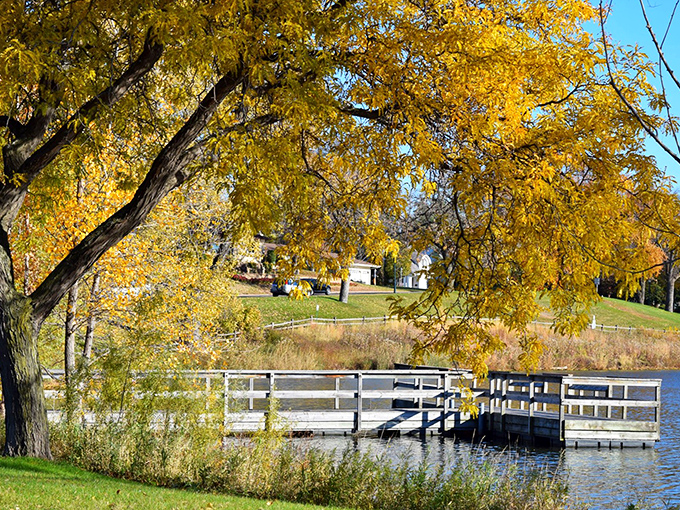Fall's golden embrace turns Lake Crystal into a painting you can actually afford to live in.