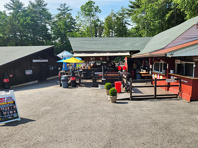 Where the trees meet the tables and the lobster meets its match&mdash;your appetite!