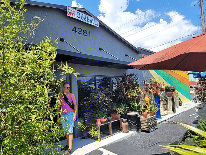 This isn't just a thrift store, it's an artistic statement with a side of amazing deals.