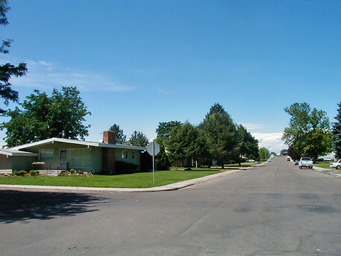 Tree-lined streets and quiet neighborhoods where you can actually hear birds singing instead of traffic honking all day.