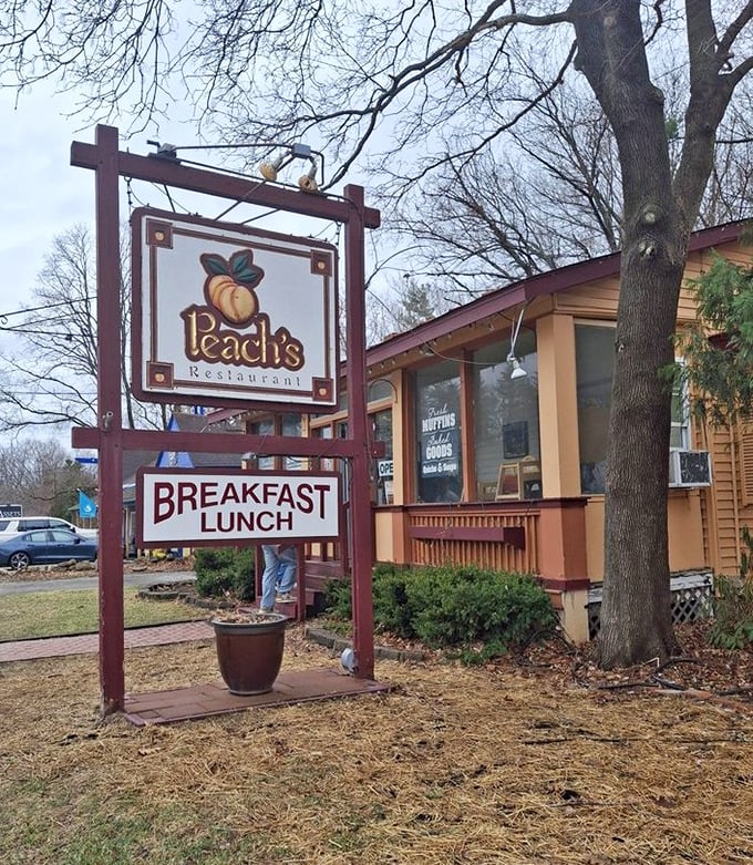 Morning sunshine meets breakfast perfection at Peach's. That wooden sign might as well say "Your search for the perfect omelet ends here."