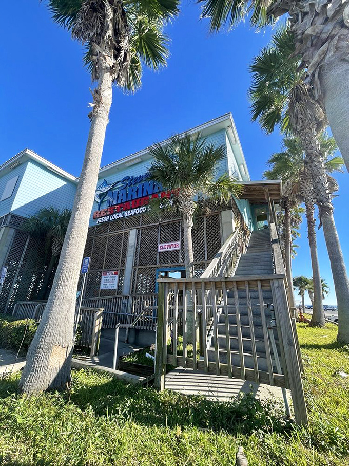 Palm trees stand guard at Steve's Marina, where seafood this fresh deserves its own tropical salute.