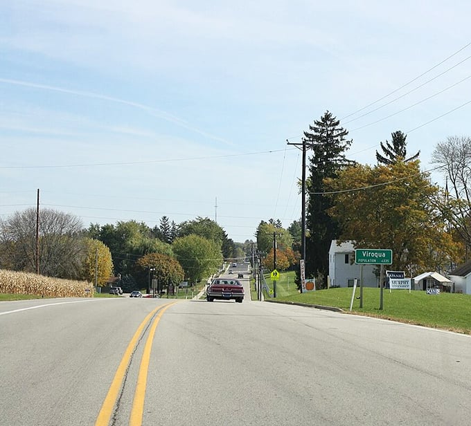 Welcome to Viroqua! Where the roads are long, the hills are rolling, and the pace is blissfully slow.