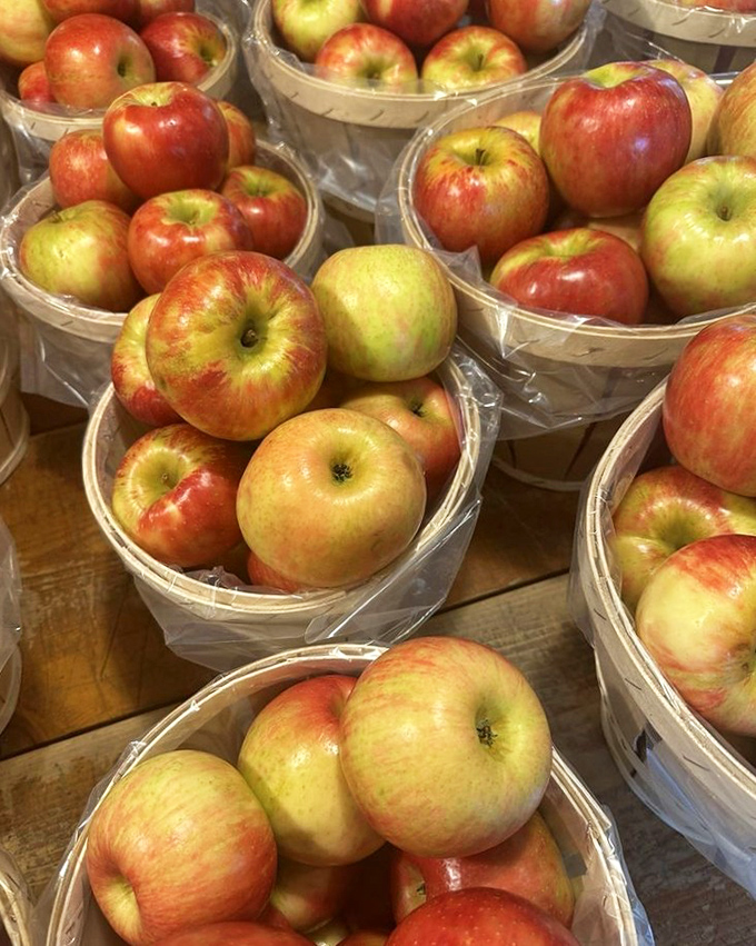 These aren't your sad supermarket apples. Each one looks like it's auditioning for a still-life painting or the cover of "Delicious Magazine."