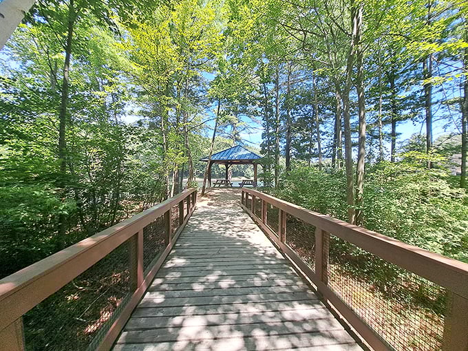 This wooden boardwalk through Barrett Park feels like walking through a scene from a storybook, leading visitors to hidden natural treasures.