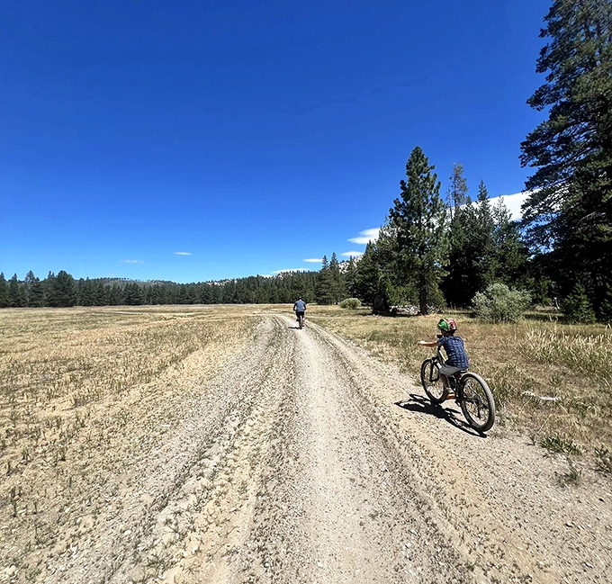 Family biking through sun-drenched meadows &ndash; where "Are we there yet?" transforms into "Can we stay longer?" The ultimate screen-time alternative.