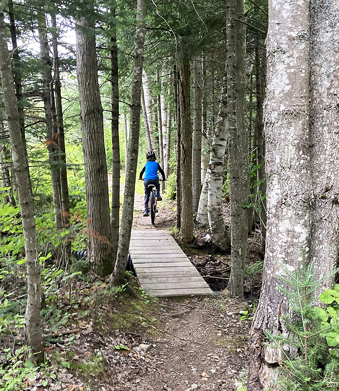 Biking through nature's cathedral. This wooden pathway through towering pines offers the perfect blend of adventure and serenity.
