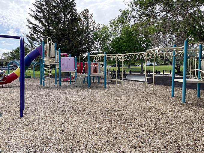 Bolton Park's playground equipment proves kids don't need expensive entertainment to have an absolute blast outside.