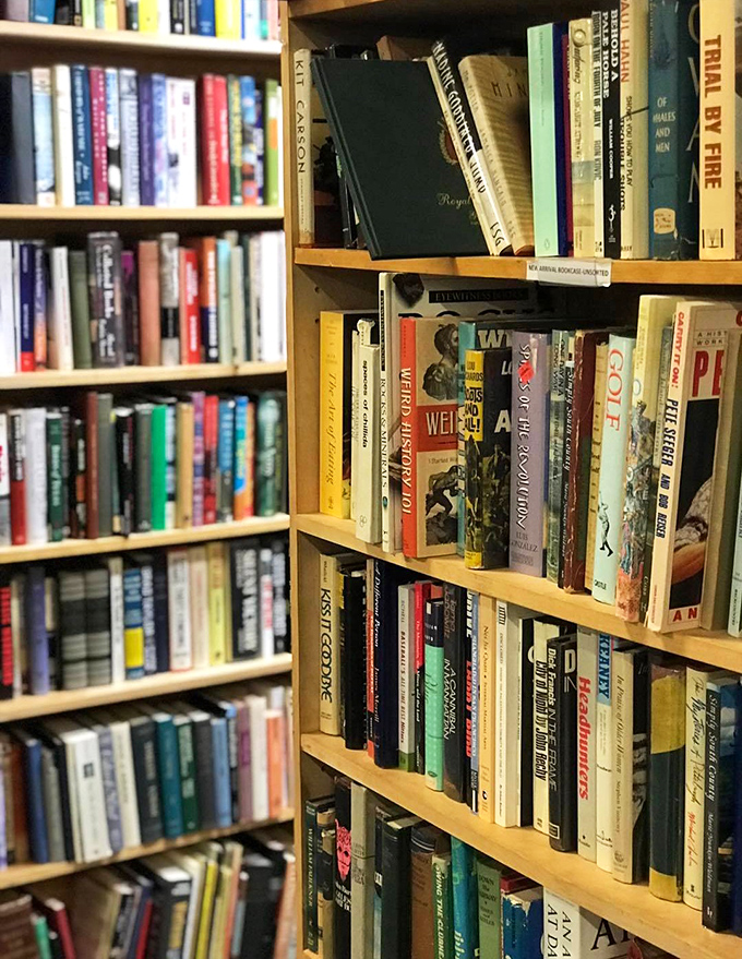 Floor-to-ceiling literary treasures where dog-eared paperbacks and leather-bound classics create that intoxicating old book smell bibliophiles dream about.