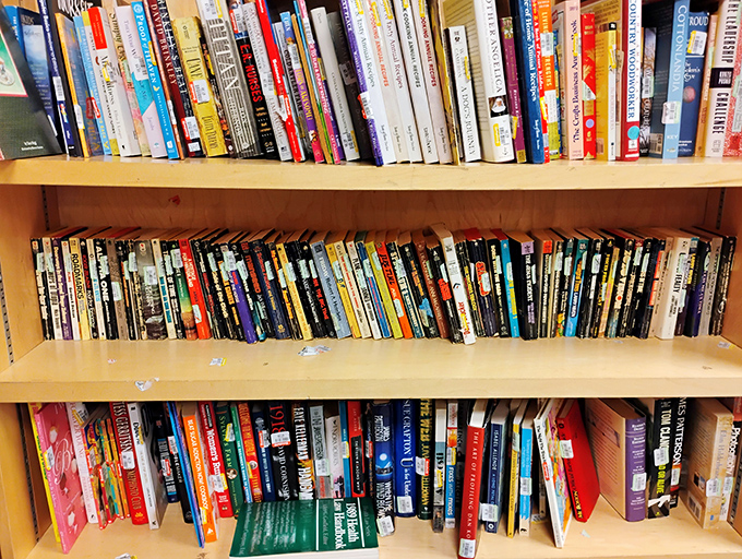 The book section: where bestsellers from six months ago mingle with classics and obscure titles you didn't know you needed until now.