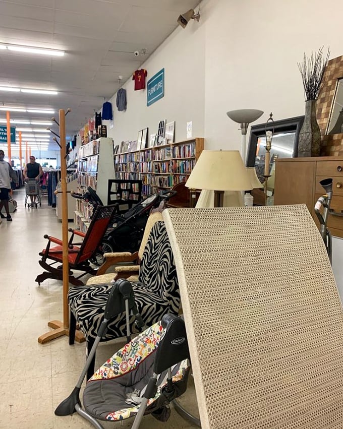 Where furniture meets literature—the perfect spot for finding both a comfy zebra chair and that paperback you've been meaning to read.