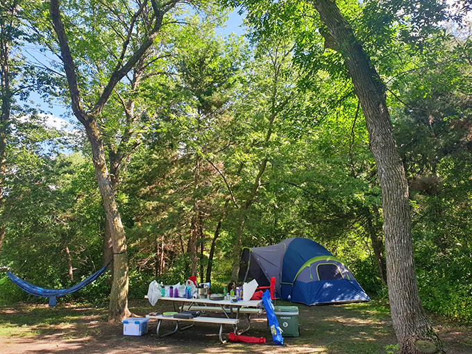 Camping perfection: where hammock dreams meet tent reality. This shaded spot offers nature's lullaby without sacrificing too many creature comforts.