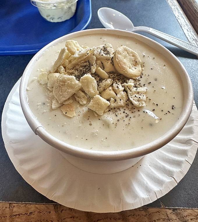 New England in a bowl&mdash;creamy clam chowder topped with oyster crackers, the perfect maritime marriage of comfort and tradition.