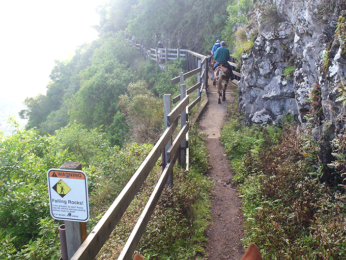 Some hiking trails offer handrails and comfort stations. This one offers vertigo, history lessons, and views worth every white-knuckle moment.