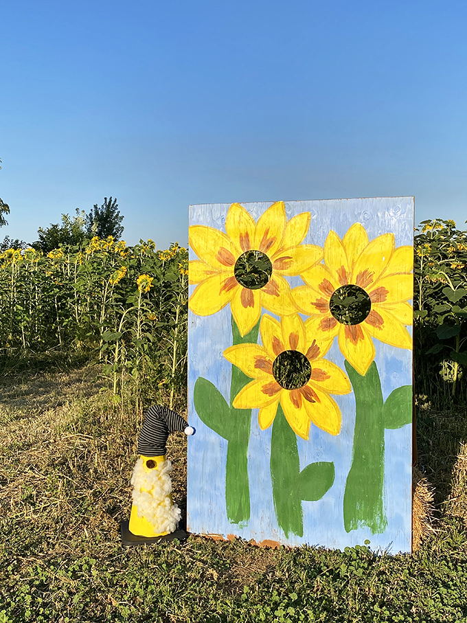 Sunflowers standing tall against Eastern Washington's impossibly blue sky&mdash;nature's way of saying "Look at me, I'm gorgeous without even trying!"