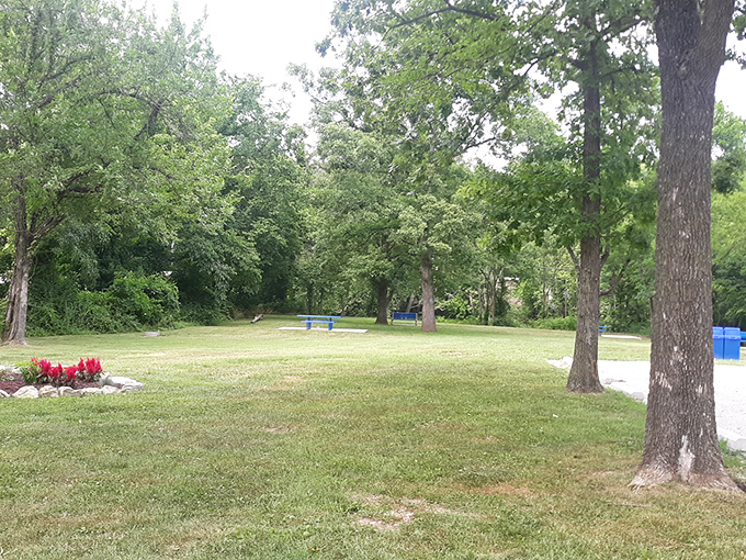 Connell Park provides a peaceful green respite, where towering trees offer shade and the simplicity of a Midwest park meets European village aesthetics.