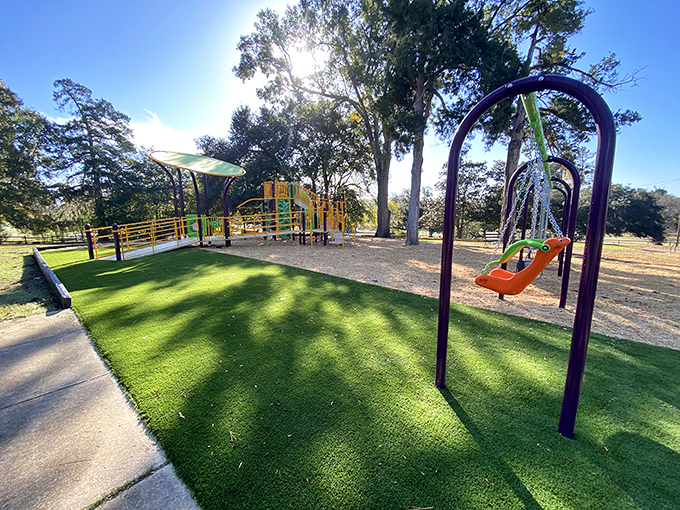 Who needs expensive country club memberships when Duncan Park offers playgrounds, green spaces, and childhood joy for the price of absolutely nothing?