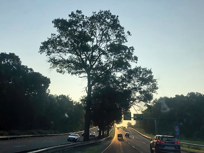 Twilight transforms the Merritt into a scene worthy of a movie opening&mdash;where the credits roll against nature's perfect backdrop.