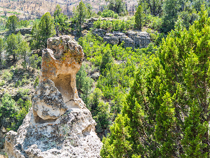 Millions of years of geological patience created this sentinel rock formation. Standing tall amid emerald pines like Nevada's answer to Stonehenge.