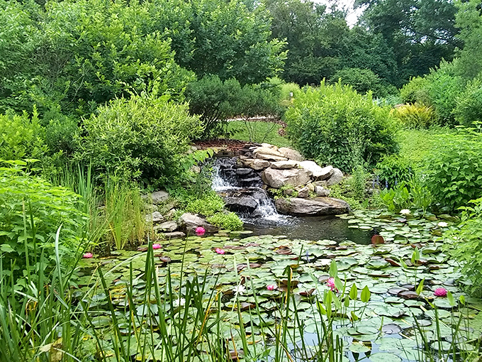 Water features and lily pads at F.A. Seiberling Nature Realm offer tranquility that expensive spas try desperately to replicate&mdash;without the hourly rates.