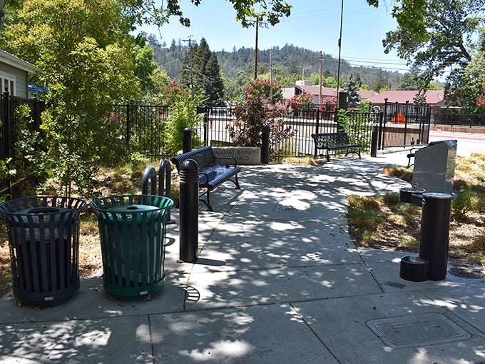 A quiet corner of contemplation in Fireman's Memorial Park, where dappled shade offers respite from wine tasting and mud bath adventures.