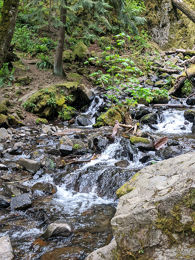 Nature's version of a spa treatment&mdash;bubbling water, smooth stones, and ferns that look like they're giving the stream a standing ovation.