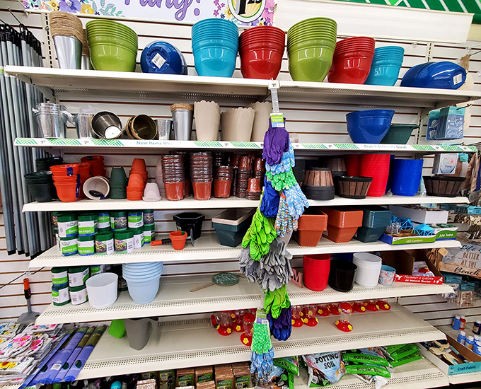 A rainbow of planters awaits green thumbs and plant killers alike—because at these prices, you can afford to try again.