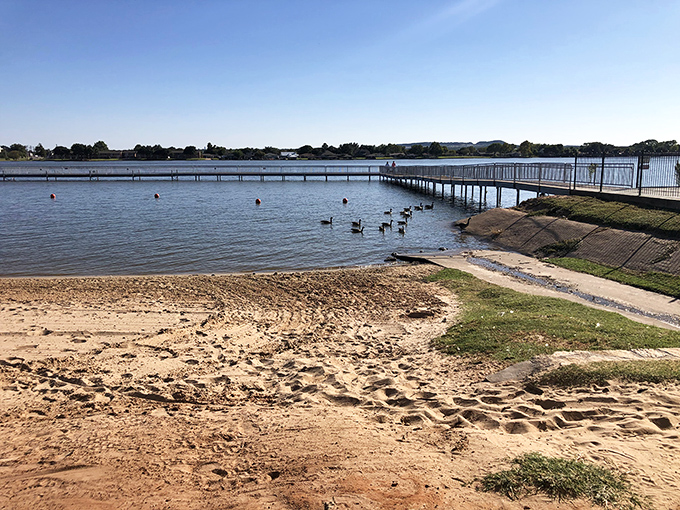 Who needs the ocean when Granbury's City Beach Park offers lakeside lounging? Those geese clearly got the memo about the prime real estate.