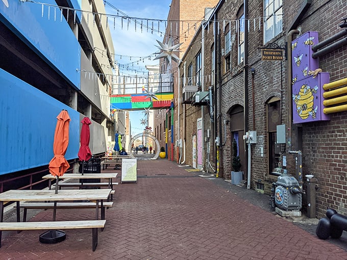 Hattiesburg's alleyways hide colorful surprises. This vibrant passage feels like stumbling into a secret party where even the fire hydrants dress better than I do.