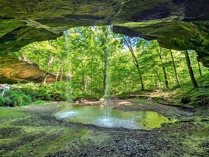 This natural rock arch in Hoosier National Forest is Mother Nature's version of architectural showing off. Cathedral ceilings without the construction loan.