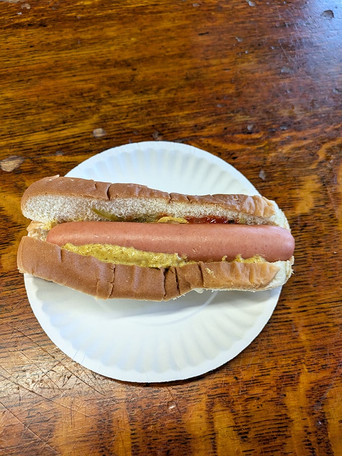 Behold the star attraction &ndash; a classic hot dog with mustard, nestled in a soft bun, proving that culinary perfection often comes in the simplest packages.