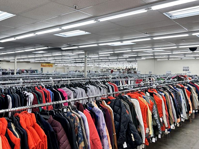 Winter's coming? No problem. This rainbow of outerwear options proves you can stay warm without freezing your bank account.