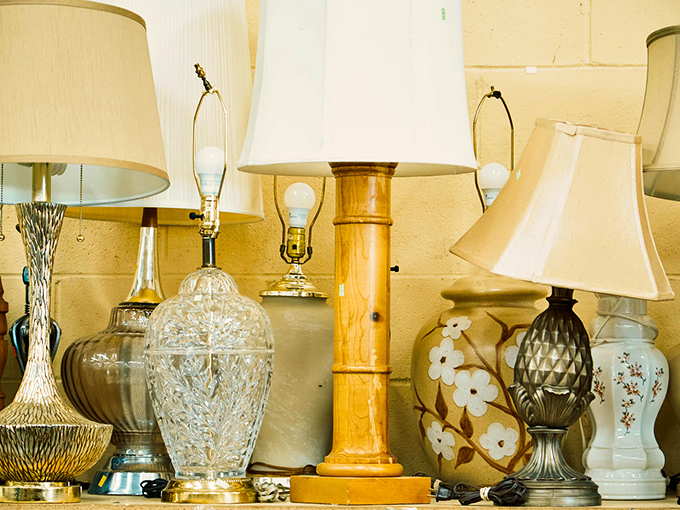 Vintage lamps stand at attention like elegant soldiers, ready to illuminate your home with character and charm.