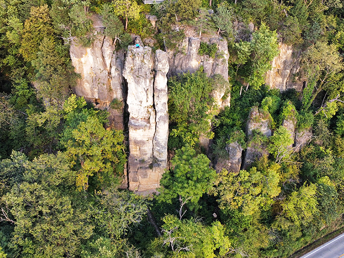 Mother Nature's skyscrapers rise from the forest floor. These ancient limestone formations have been standing tall since before Chicago even thought about building upward.