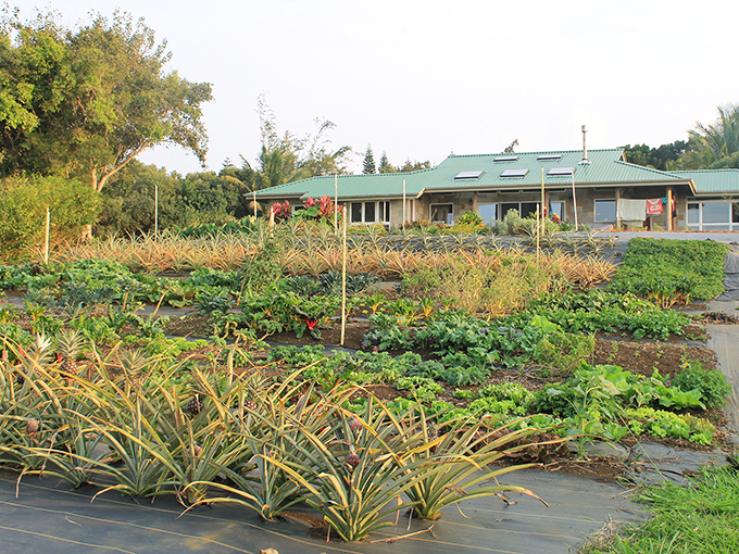 Farm-to-table isn't a trend here but a way of life&mdash;this garden sanctuary grows everything from pineapples to papayas in volcanic soil rich enough to make mainland farmers weep.