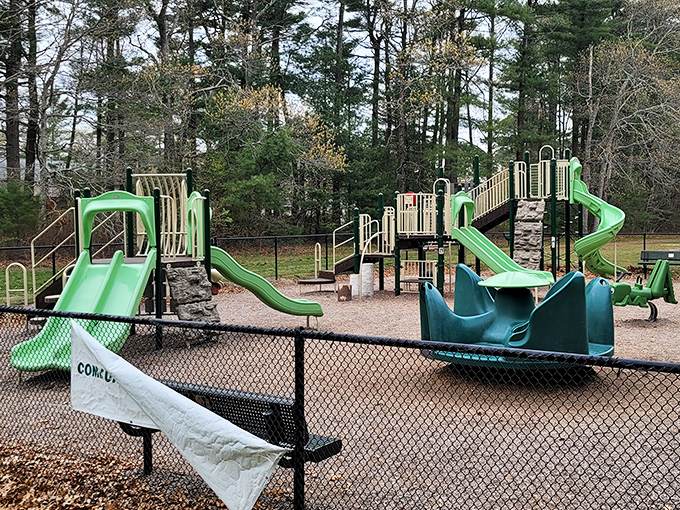 Childhood laughter echoes around this playground where slides and swings await the next generation of Wareham adventurers.