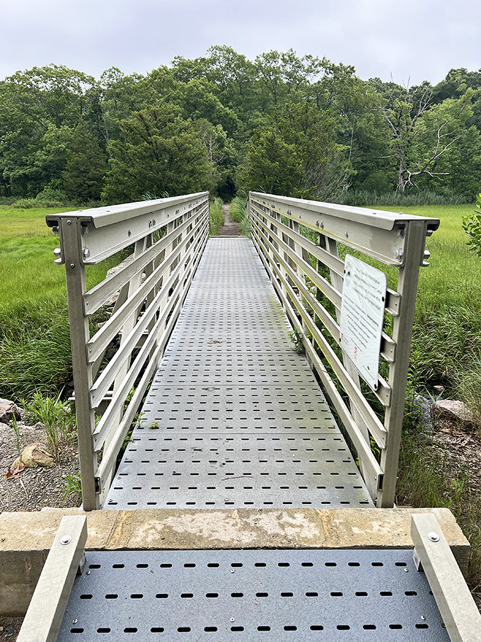 Mill Cove Bridge invites exploration with the silent promise that whatever waits on the other side is worth the journey.