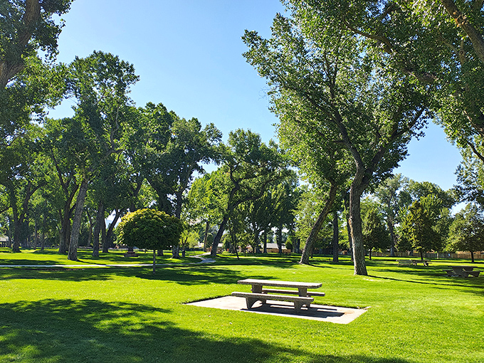 Mills Park offers that perfect blend of shade trees and green space that makes you wonder why you ever thought Nevada was just desert and casinos.