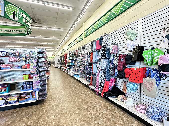 Household essentials displayed with military precision – the foot soldiers in your battle against domestic chaos.