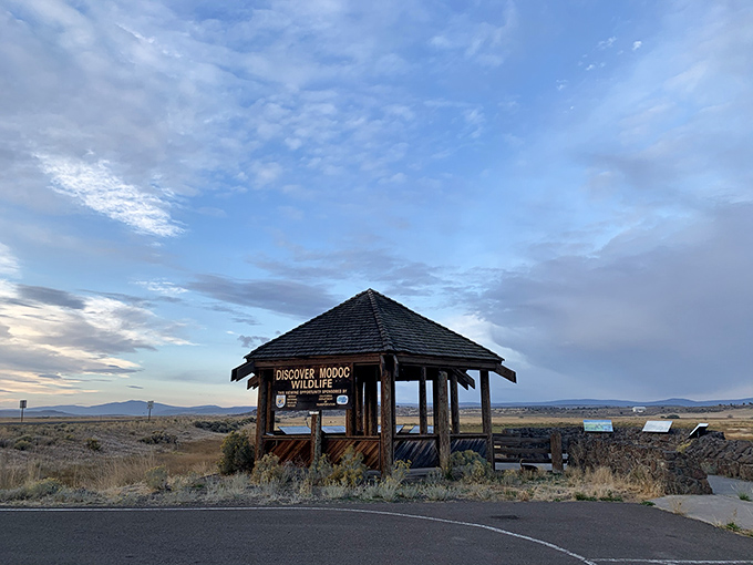 Discover Modoc Wildlife indeed! This rustic information kiosk serves as the gateway to adventures where the wildlife outnumbers the tourists.