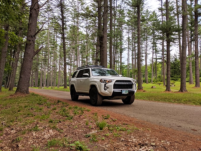 Moody Park's pine-lined trails invite exploration, where your vehicle becomes merely a starting point for adventures through New Hampshire's refreshing wilderness.
