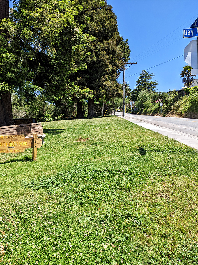 Noble Gulch Park offers that rare urban amenity: a place where you can actually hear yourself think while sitting under trees older than most Hollywood franchises.