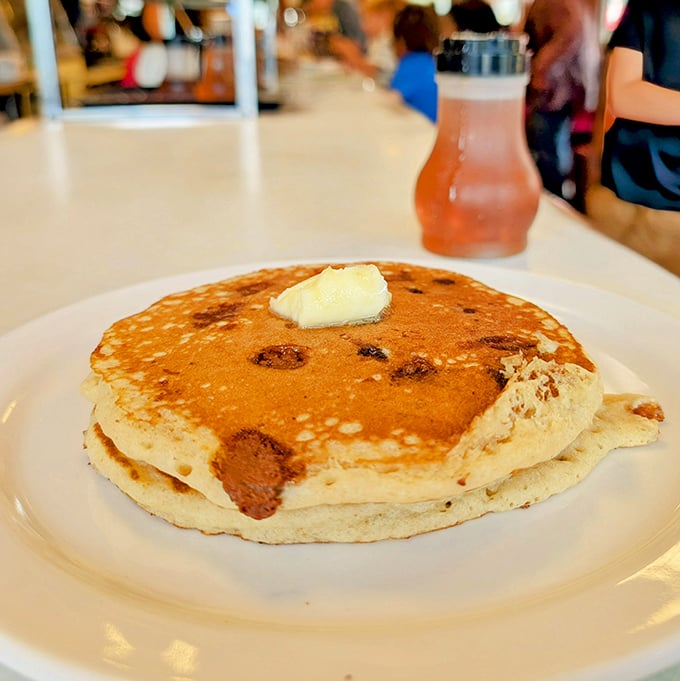 This blueberry pancake isn't just breakfast&mdash;it's a fluffy canvas of happiness with butter slowly melting into its golden surface like a morning sunrise.