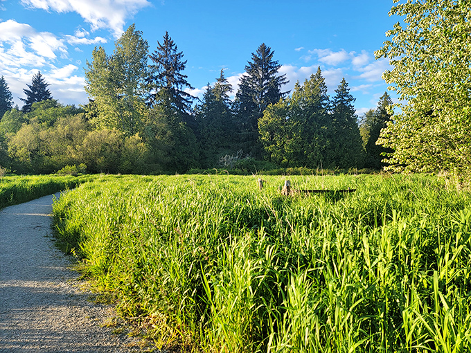 Nature trails wind through lush wetlands just minutes from downtown. Colebrook's version of Central Park, minus the pretzel vendors and horse carriages.