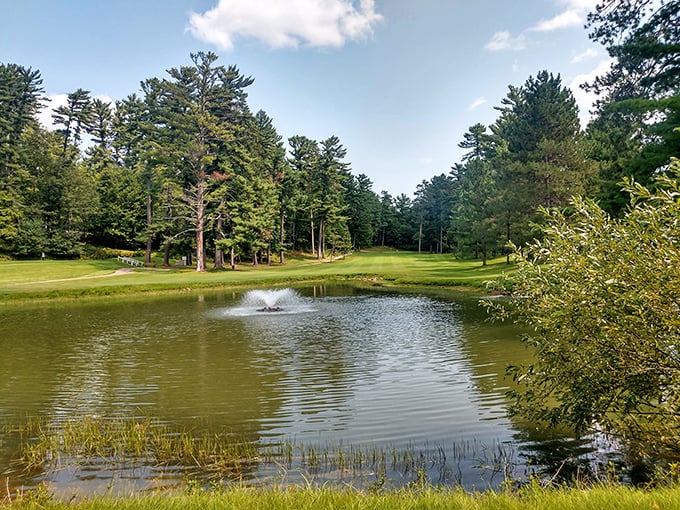 Water hazards never looked so inviting. Pine Grove Country Club offers affordable membership rates that make retirement golf dreams actually attainable, unlike those exclusive country clubs downstate.