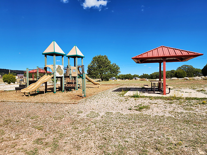 Childhood memories in the making—this playground and picnic area proves entertainment doesn't need batteries or Wi-Fi to work perfectly.